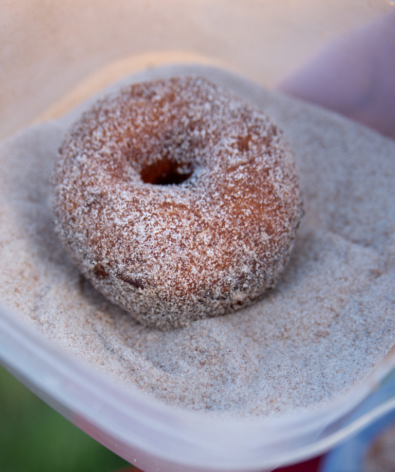 Cinnamon Sugar Campfire Donuts